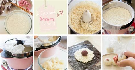 Sakura Mochi Chopstick Chronicles