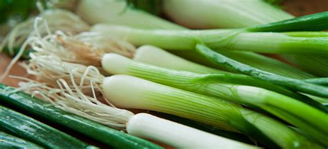 치 베스와 함께 그린 봄 양파scallions 유기농 농장에서 건강 한 신선한 야채농장 상점과 실제 식품 시장에서 야채 상자의 재료 골파에 대한 스톡 사진 및 기타 이미지