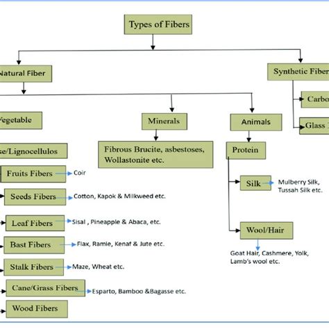 Classification Of Fibers [4 7 10] Download Scientific Diagram