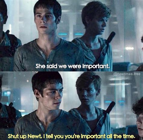 Pin By Cindy Wolden On Adahs Board Maze Runner Funny Maze Runner Movie Newt Maze Runner