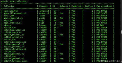 Mysql基础命令 Csdn博客