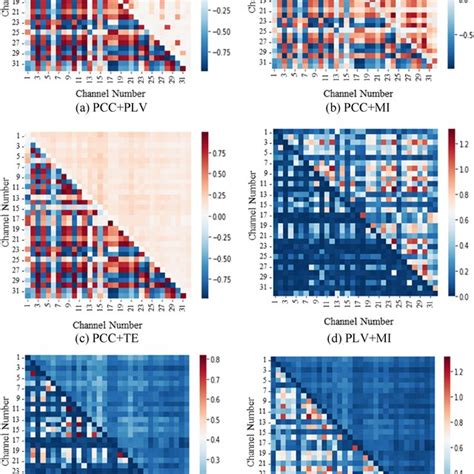Heatmap Representation Of Sample Connectivity Feature Maps Cfms Download Scientific Diagram