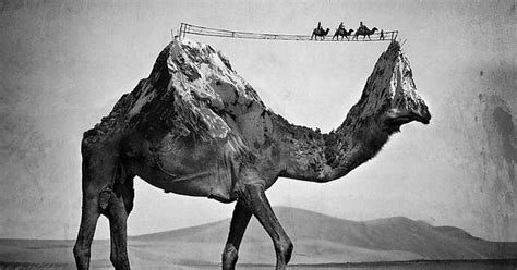 Surreal Experiments Album On Imgur