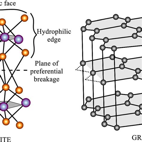 Schematic Illustration Of Structure Of Collector Molecule Download Scientific Diagram