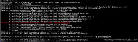 解决启动hadoop集群，从节点没有启动（datanode等） hadoop hdfs集群启动除了主机都没有 csdn博客