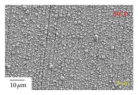 Sem Micrographs Taken At Different Regions On The Substrate 1 Cm