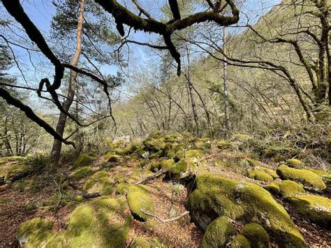 Le Circuit De Béasse 11avril