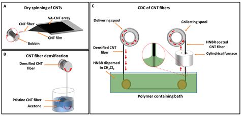 Dry Adhesives Carbon Nanotubes At Margaret Cass Blog