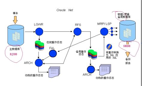 oracle dg 最大保护（maximize protection 和最高可用性（maximize availability）异同 天涯客的