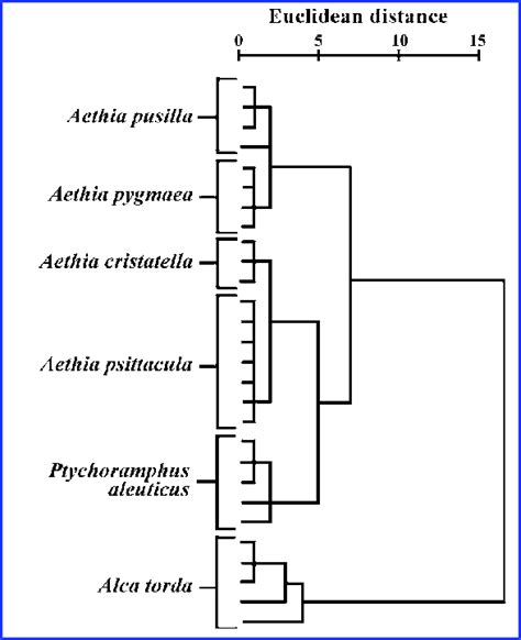 Example Phenogram Depicting The Results Of Cluster Analysis Of Extant Download Scientific