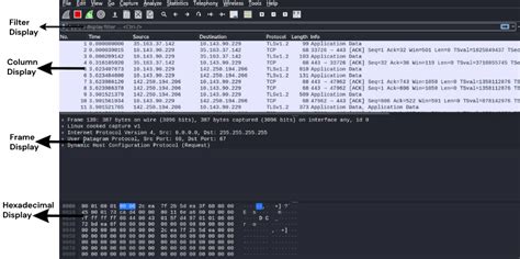 Dns In Wireshark Geeksforgeeks