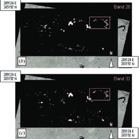 thermal anomaly extraction for the modis predawn subset of 17 february