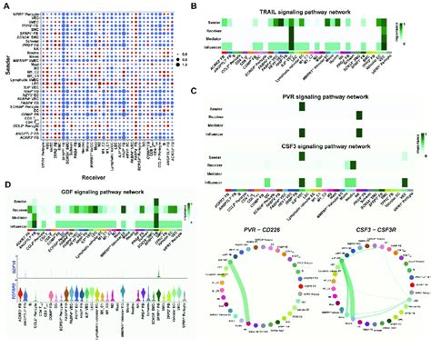 Cell Cell Interaction Analysis Of All Cell Subsets In Human Gsv A