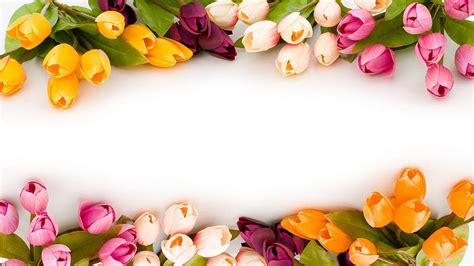 Powerpoint Background Floral