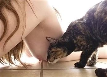 Cat Plays With Piercing In Nipples