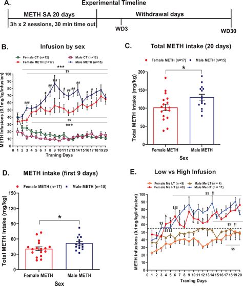 Figure 1 From Sex Differences In Escalated Methamphetamine Self