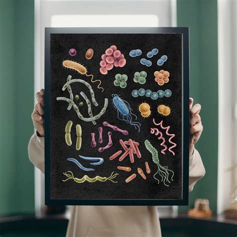 Bacteria Art Print Poster Microbiology Science Bioscience Biotechnology