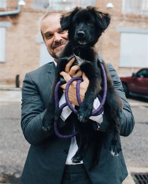 David Harbour David Harbor American Actors Harbour