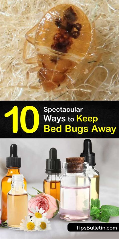 10 Spectacular Ways To Keep Bed Bugs Away