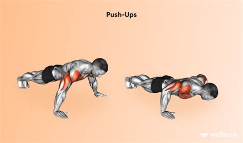 Chest And Shoulder Workout For Muscle Growth [dumbbells Only] Welltech