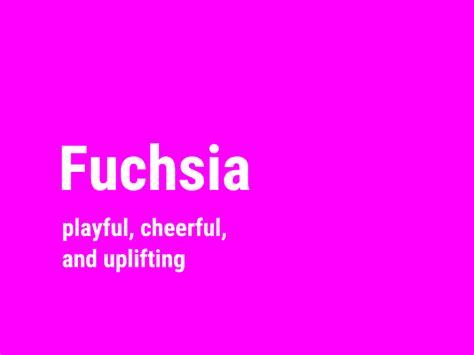 Fuchsia Color Is It Pink Or Purple And What Does It Mean