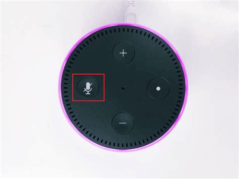 Cómo Arreglar La Luz Roja En Alexa Recurso Wordpress