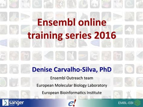 Genes And Transcripts Ensembl Online Webinar Series Pdf