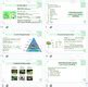 Principles Of Ecology Student Guided Notes Google Slides Biology