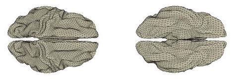 Top Side And Bottom Side Views Of The Template Triangular Mesh M T Download Scientific Diagram
