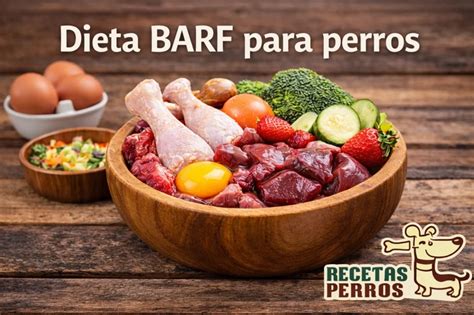 Dieta Barf Para Perros Todas Las Claves Y Recetas Recetas Perros