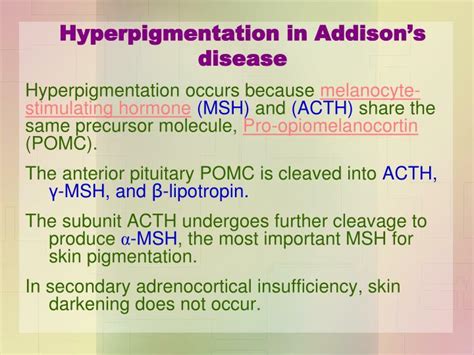 Ppt Biochemistry Of Addisons Disease Powerpoint Presentation Id