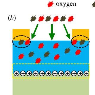 Schematic Illustration Of Moisture And Oxygen Diffusion Into The Download Scientific Diagram