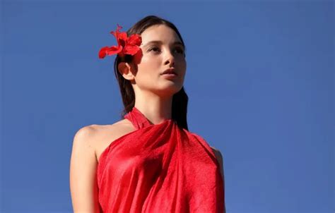 Wallpapers For Theme Calypso Muse