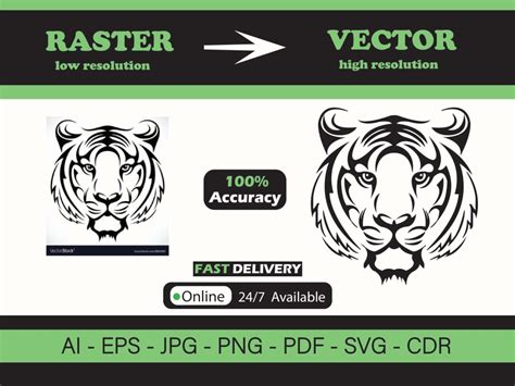 manual vector tracing vectorize logo convert image or logo to vector