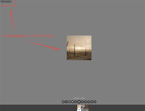 Vue中强大的图片预览组件，v Viewr支持缩放、旋转等操作vue3图片预览组件 Csdn博客