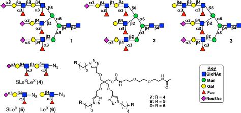 Figure 1 From Chemoenzymatic Synthesis Of Asymmetrical Multi Antennary N Glycans To Dissect