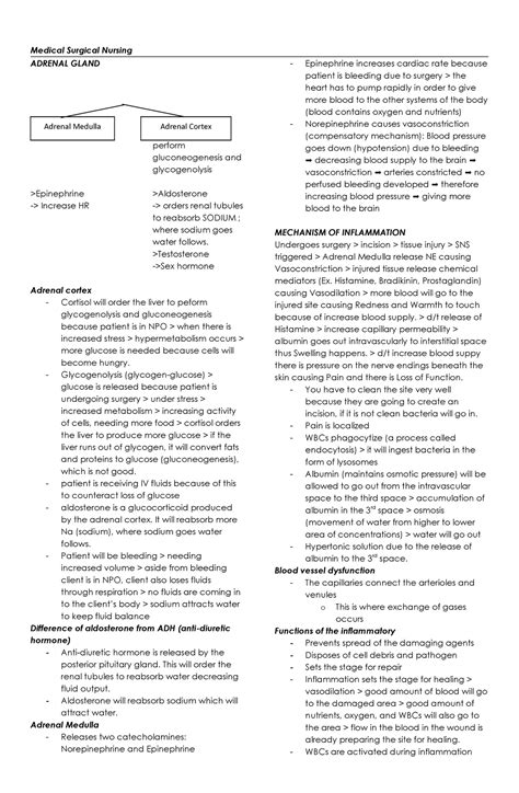 Medical Surgical Nursing Lecture Medical Surgical Nursing Adrenal
