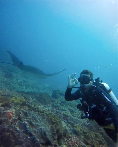 Scuba Diving Day In Nusa Penida Nusa Penida