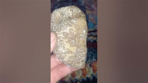 شکارسنگطبیعتسنک عقیق سفید شدیدن به حمایت شما نیاز دارمخواهشنفراموش