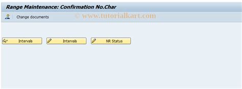QE29 SAP Tcode Number Range Maintenance Conf Number For Char