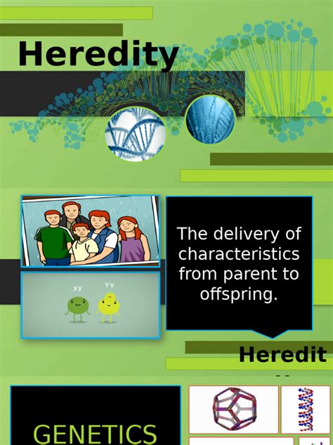 Lesson 1laws Of Inheritancemendelian Genetics Pdf Heredity Dominance Genetics