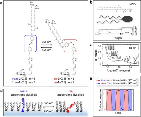 A Depiction Of The Trans And Cis Isomer Respectively Of The Download Scientific Diagram