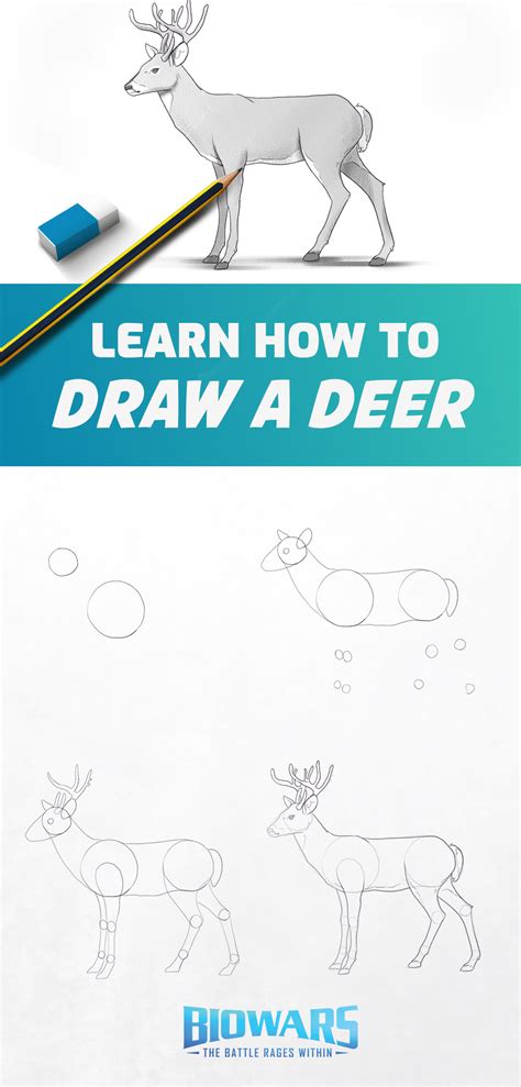How To Draw A Deer Easy Artofit