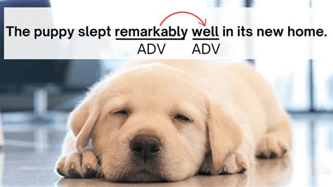 What Do Adverbs Modify Examples And A Quiz Om Proofreading