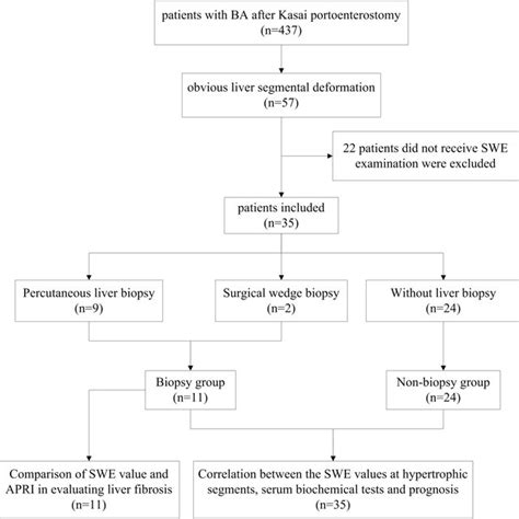 Normal Liver Morphology And Segmental Deformation Of The Liver Showed