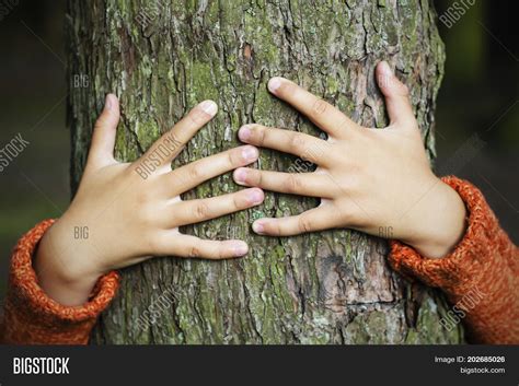 Man Hugging Big Tree Image Photo Free Trial Bigstock