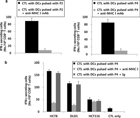 Characterization Of Agr2 Specific Ctl Responses Elispot Assay Showing