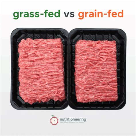 4 Oz Ground Beef Protein By Percentage Nutritioneering