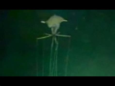 100 Foot Squid A Dive To The Deepest Parts Of All Five Oceans
