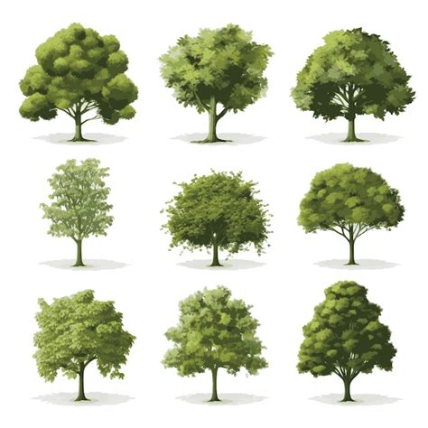 Free Vector Tree Collection Premium AI Generated Vector